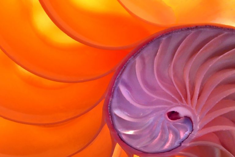 About Tery Spataro | Tery Spataro